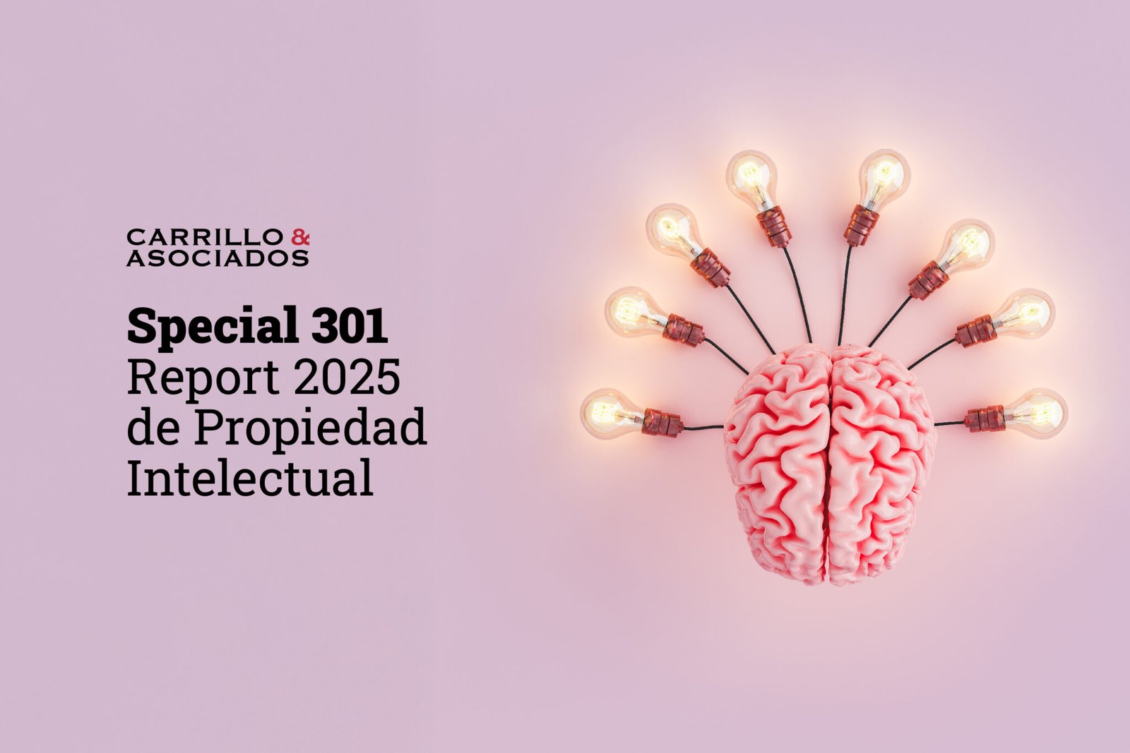 Special 301 Report 2025: Retos y oportunidades de la PI - Carrillo ...